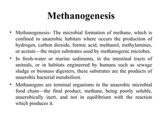 methanogens-bvvvvvbbbvvgbbgand-biogas.ppt