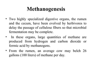 methanogens-bvvvvvbbbvvgbbgand-biogas.ppt