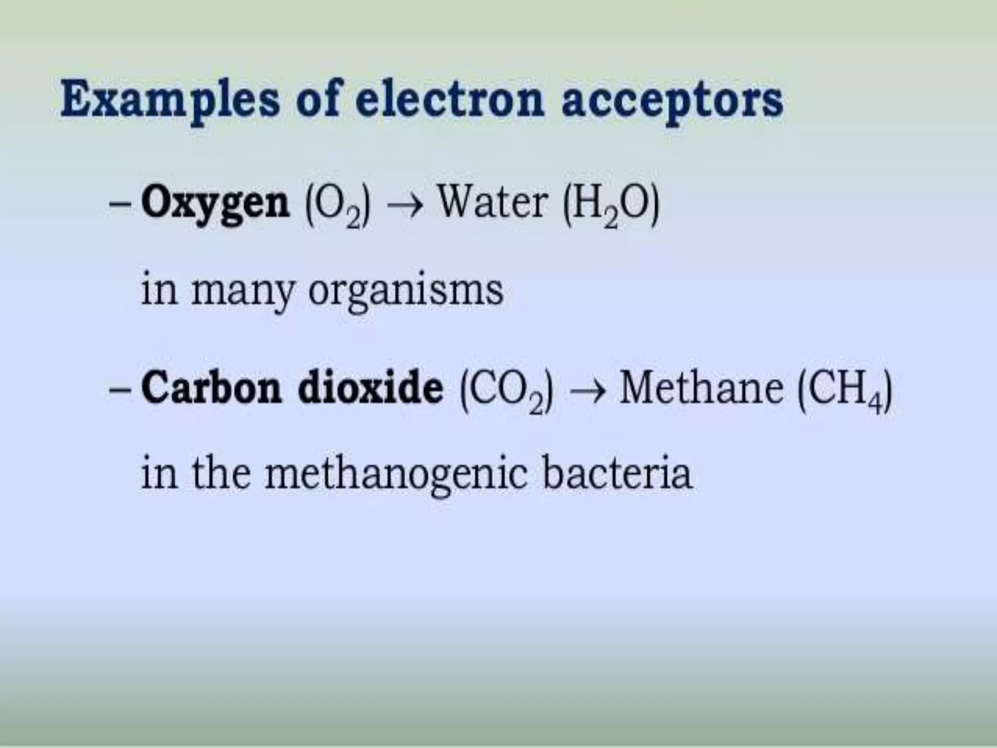 Methanogens and chemolithotrophy | PPTX