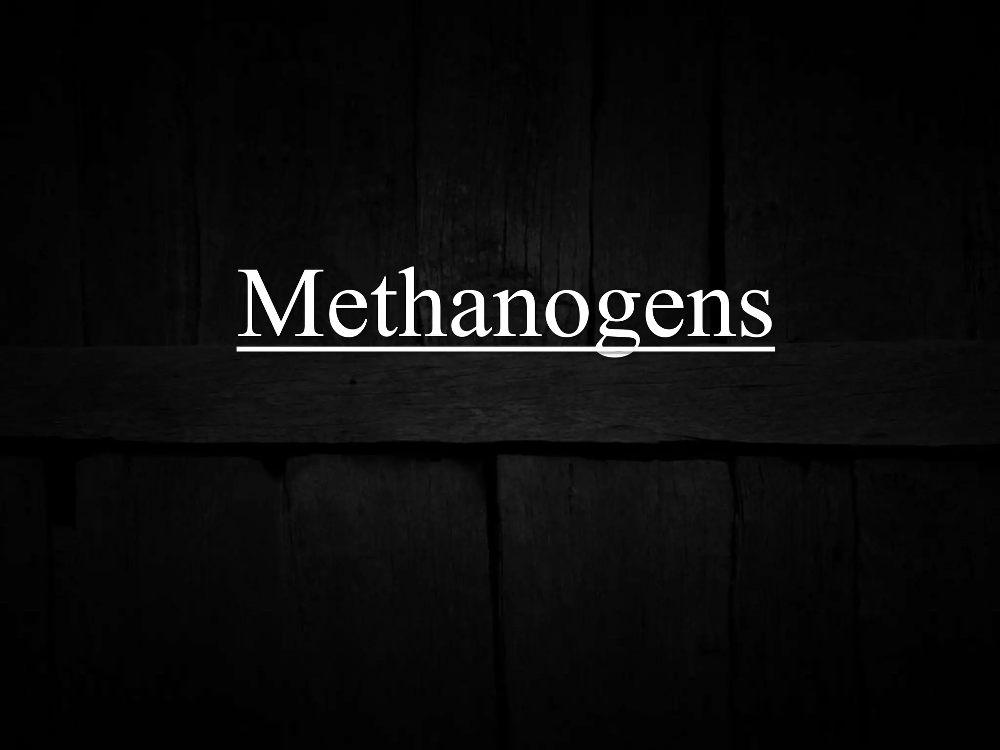 Methanogens and chemolithotrophy | PPTX