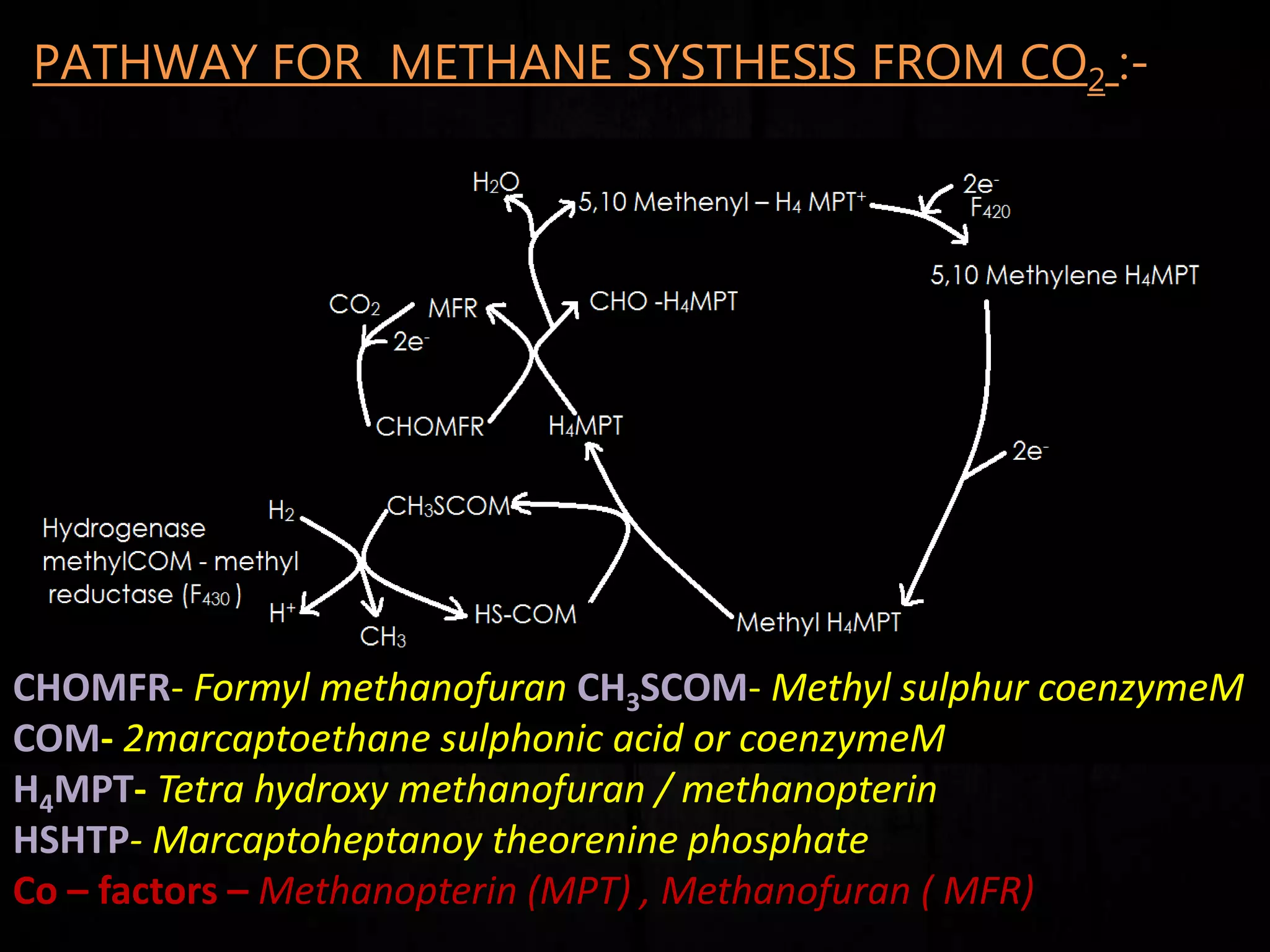 Methanogens and chemolithotrophy | PPTX