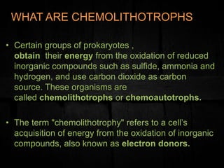 Methanogens and chemolithotrophy | PPTX