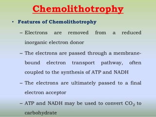 Methanogens and chemolithotrophy | PPTX