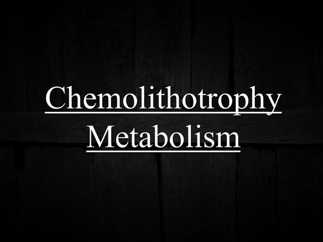 Methanogens and chemolithotrophy | PPTX | Chemistry | Science