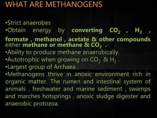 Methanogens and chemolithotrophy | PPTX