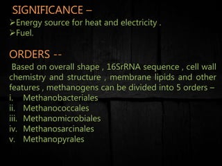 Methanogens and chemolithotrophy | PPTX