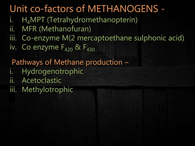 Methanogens and chemolithotrophy | PPTX | Chemistry | Science