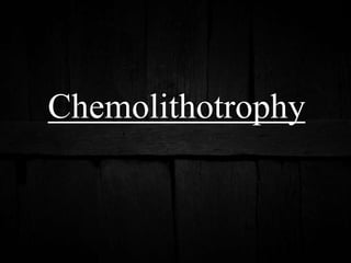 Methanogens and chemolithotrophy | PPTX