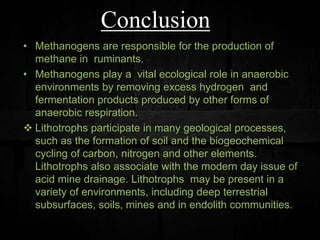Methanogens Environment