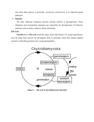 methanogens,chytrids_and_microbes_and_insects.pdf
