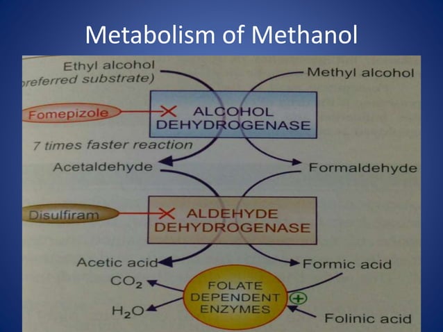 Methanol | PPTX | Alcoholic Beverages | Food & Drink
