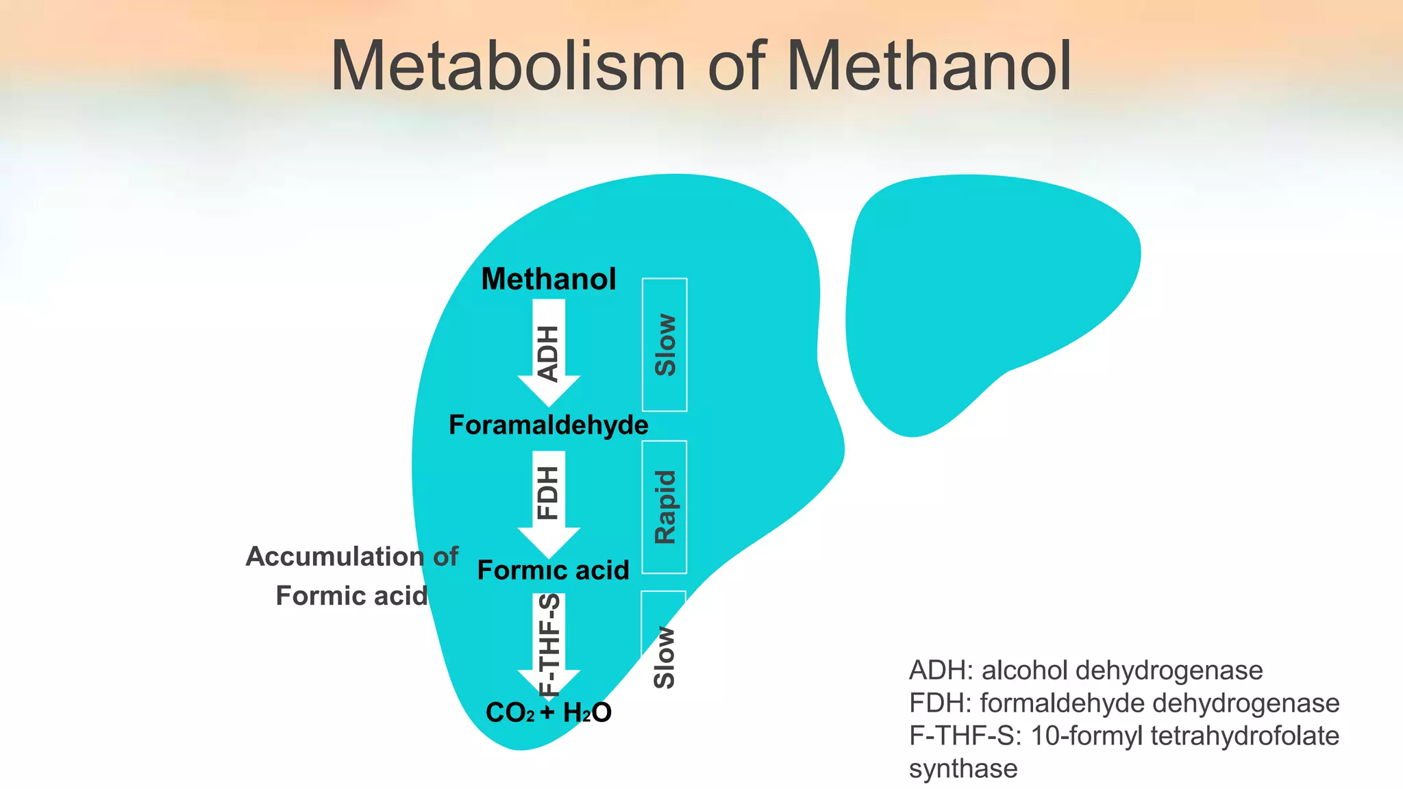 Methanol toxicity | PPTX
