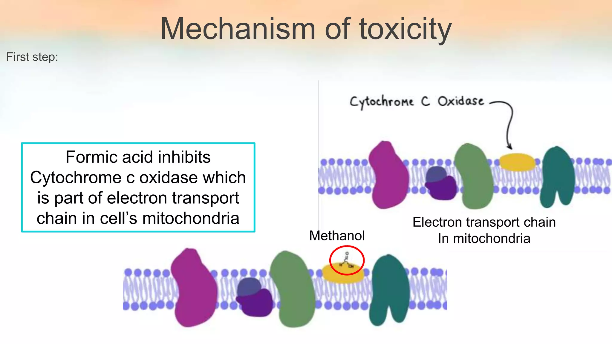 Methanol toxicity | PPTX