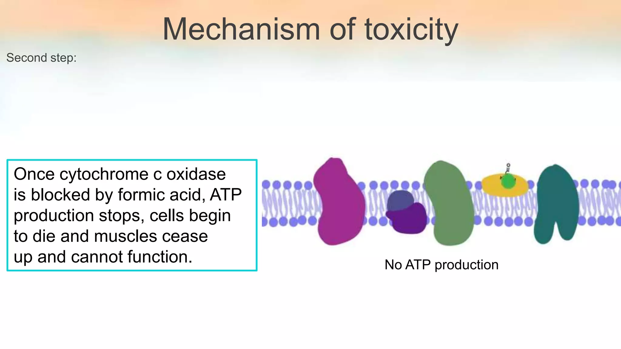 Methanol toxicity | PPTX