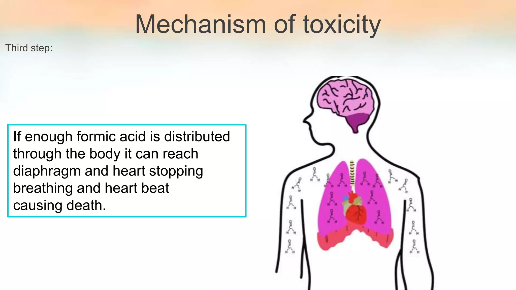Methanol toxicity | PPTX