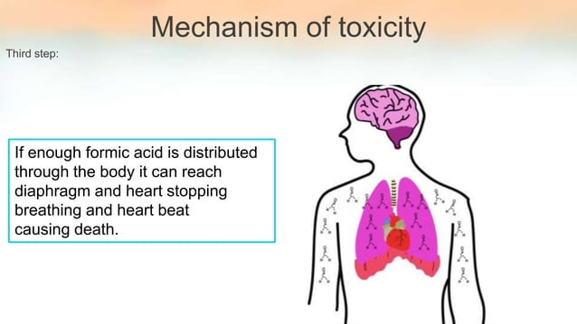 Methanol toxicity | PPT
