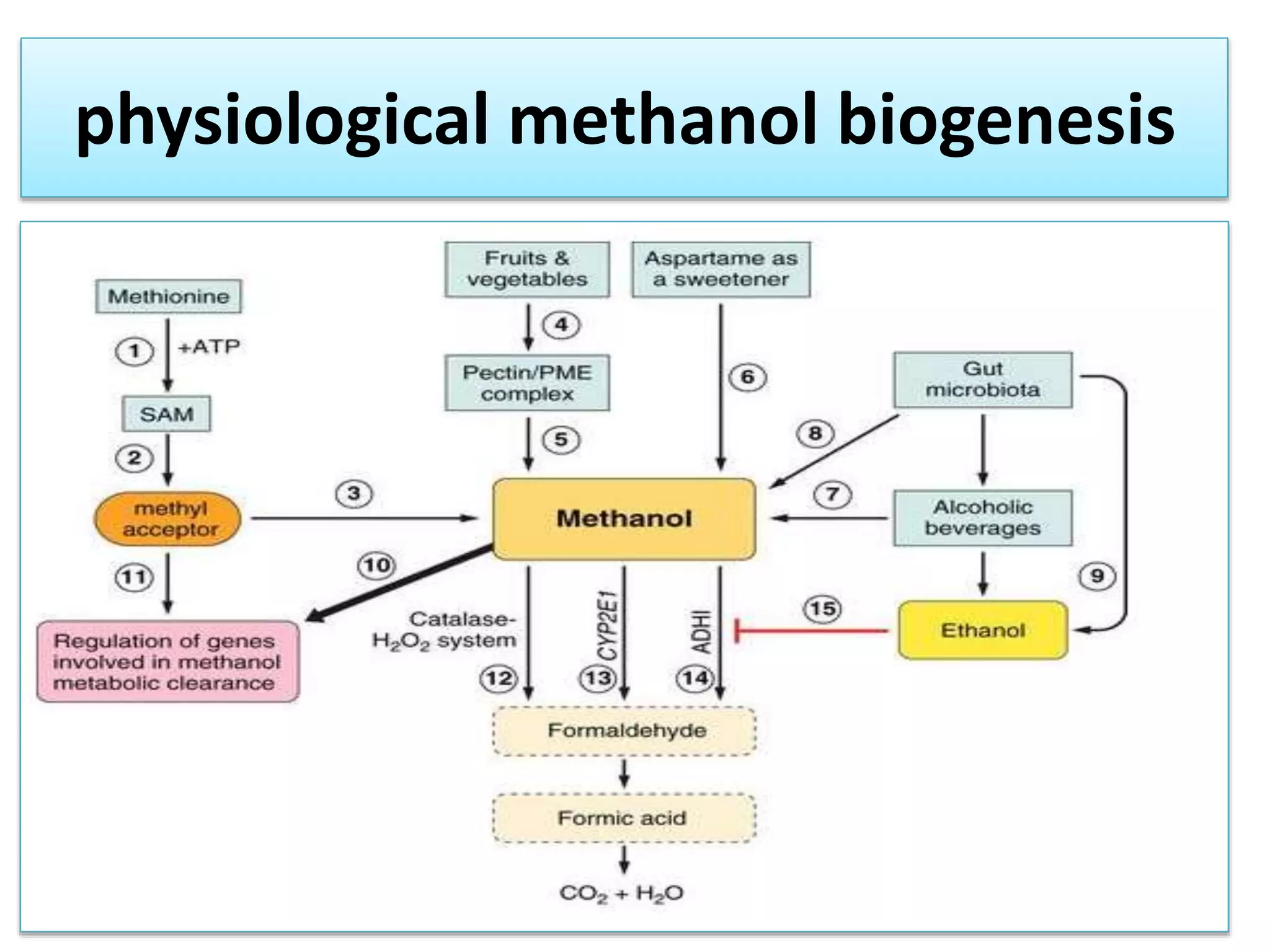 Methanol toxicity | PPT