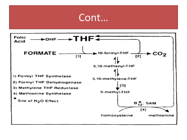 Methanol toxicity | PPT