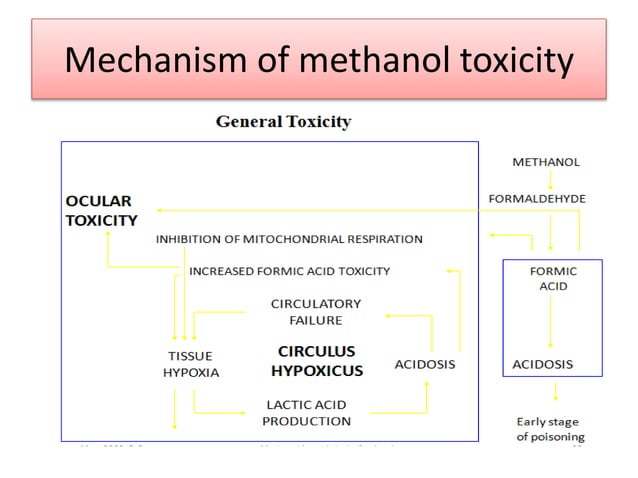 Methanol toxicity | PPT