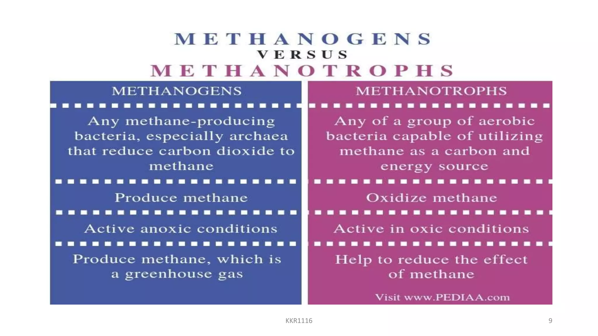 Methanotrophs | PPTX