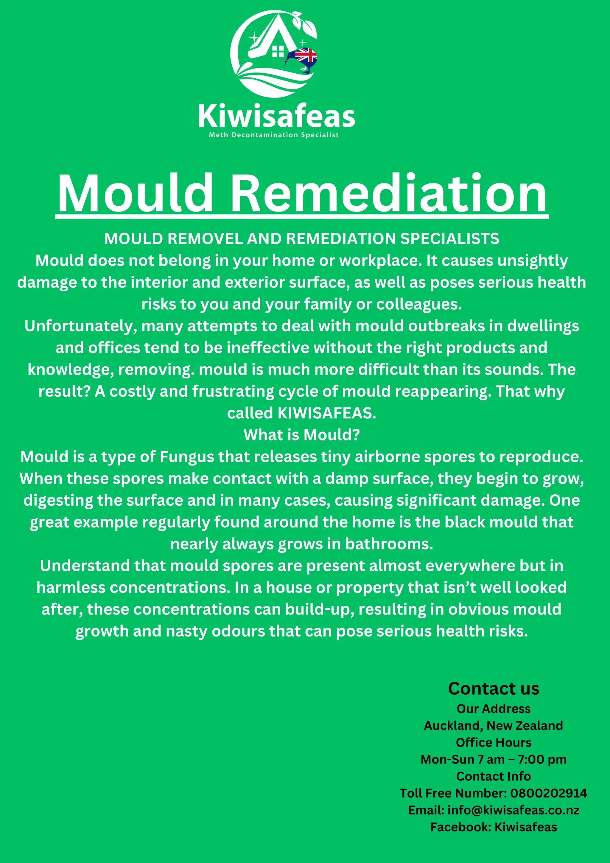 Mould Remediation | PDF | Indoor Environmental Quality | Home & Garden