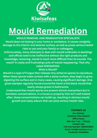 Mould Remediation | PDF