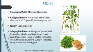 Methi Pharmacognosy | PPTX