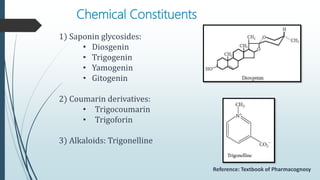 Methi Pharmacognosy | PPTX