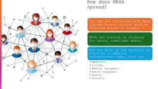 Methicillin-resistant Staphylococcus Aureus (MRSA) | PPTX