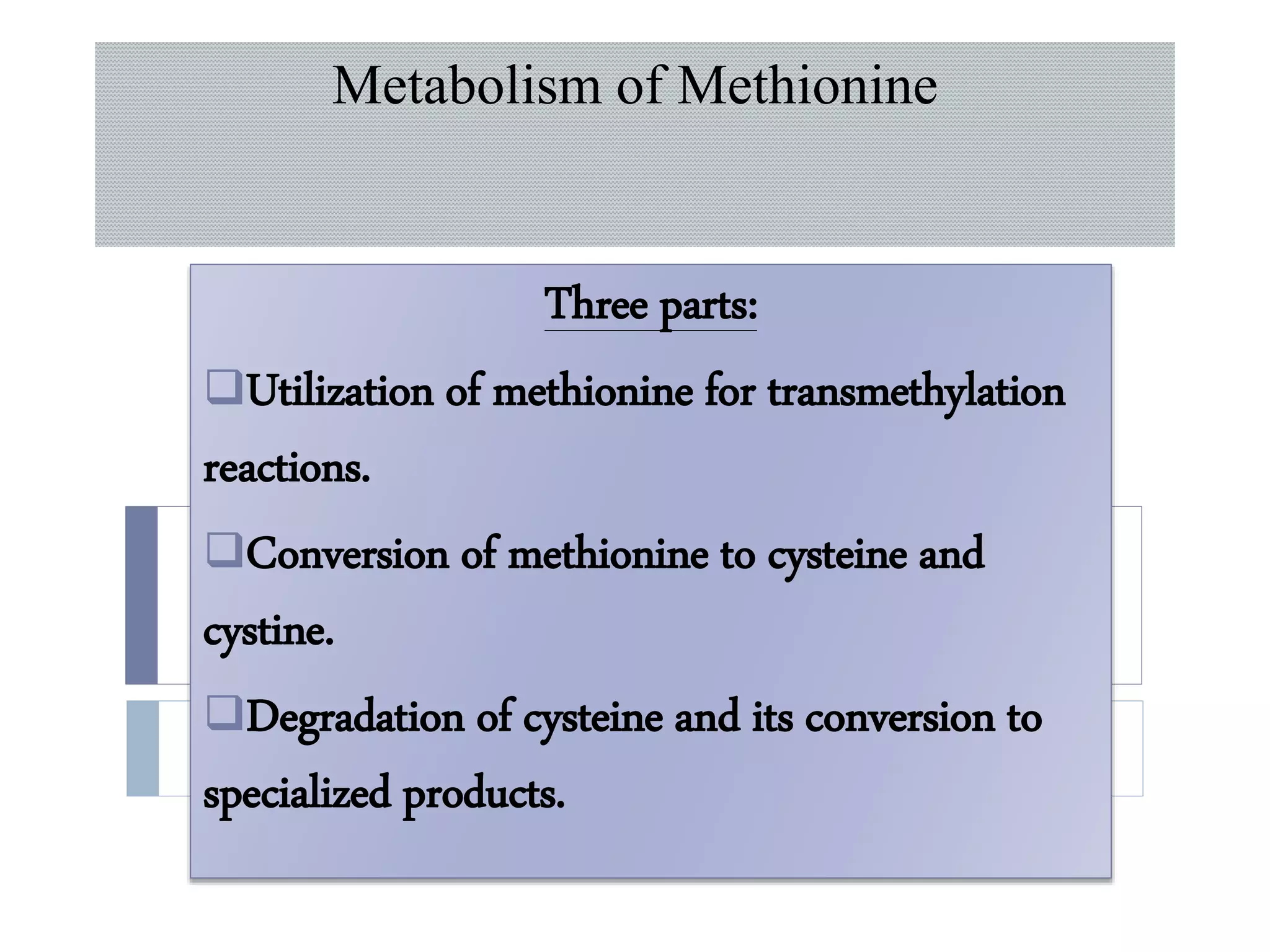 Methionine metabolism | PPTX