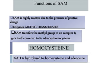 Methionine metabolism | PPTX
