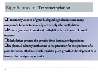 Methionine metabolism | PPTX