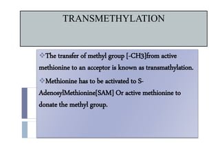 Methionine metabolism | PPTX
