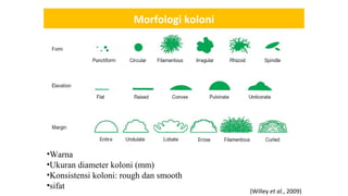 Methode validation for e.coli