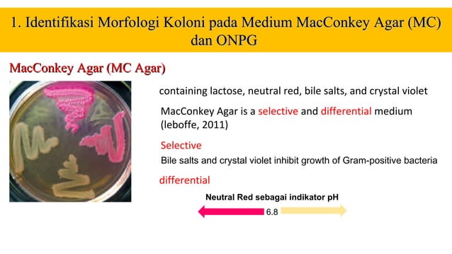 Methode validation for e.coli