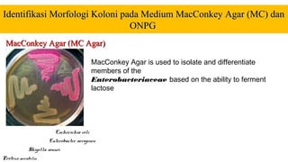 Methode validation for e.coli