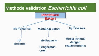 Methode validation for e.coli