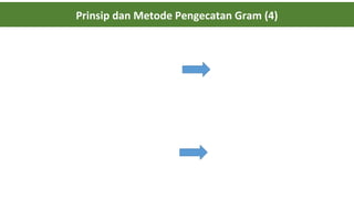 Methode validation for e.coli