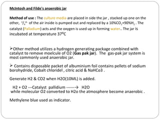 Gas Pack Microbiology