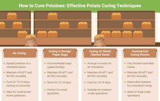 method of curing potatoes - Homegrown Outlet | PDF