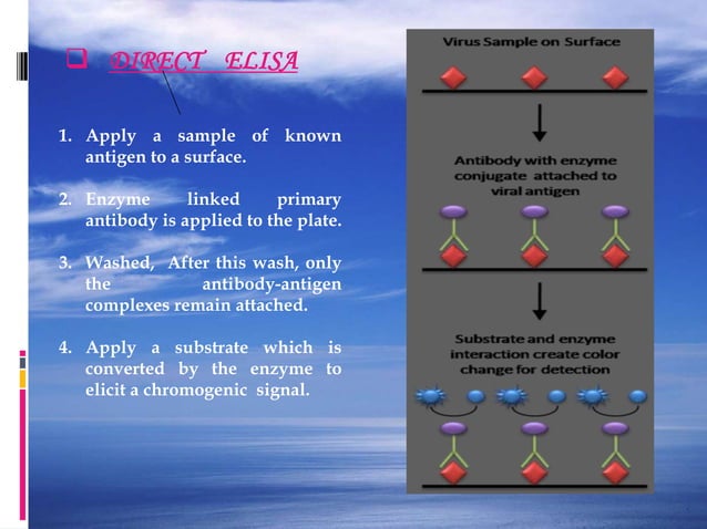 ELISA, principle and method by kk sahu | PPTX | Chemistry | Science