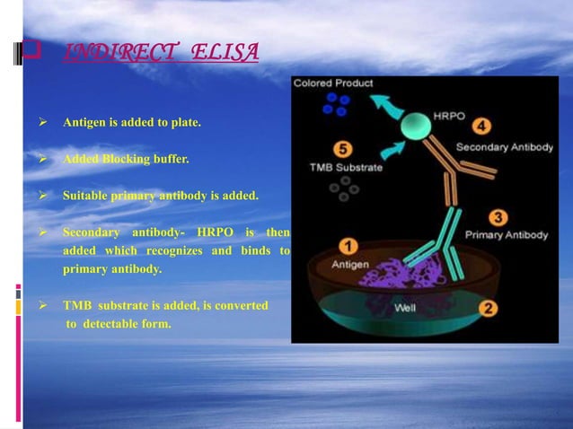ELISA, principle and method by kk sahu | PPTX | Chemistry | Science