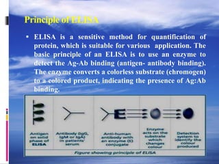 ELISA, principle and method by kk sahu | PPT