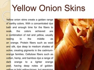Method of extraction onion dye and its application | PPTX