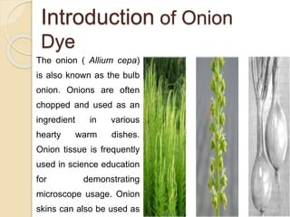 Method of extraction onion dye and its application | PPTX