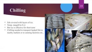 Method of Fish Preservation and Transportation.pptx