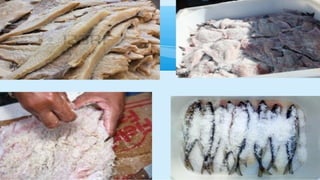 Method of Fish Preservation and Transportation.pptx