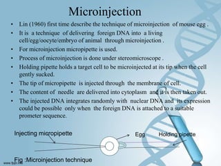 Method of gene transfer | PPTX