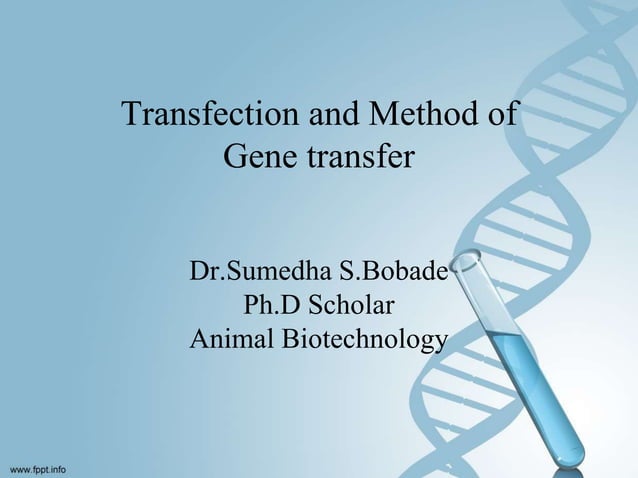 Gene Transfer Methods for Transfection | PPT