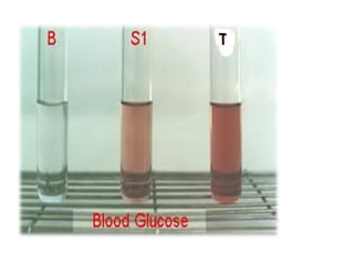 method_of_glucose_analysis_2018.pdf